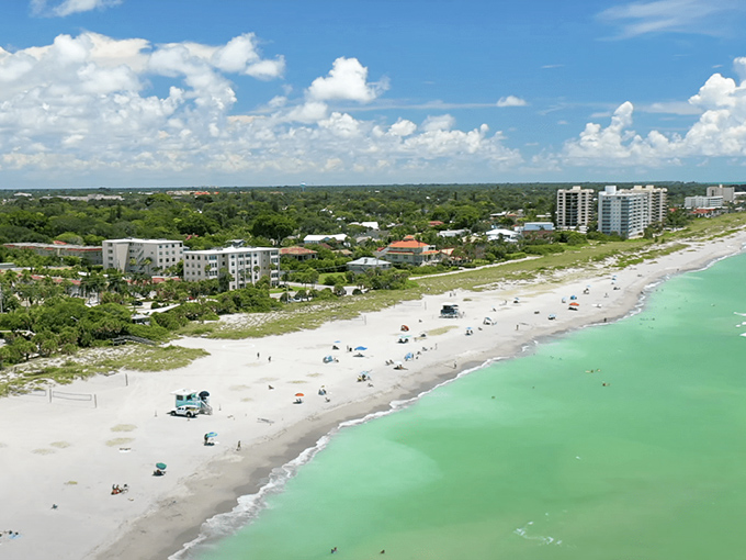 Venice Beach's gentle slope into the Gulf creates perfect conditions for shark teeth to wash ashore with each incoming wave.