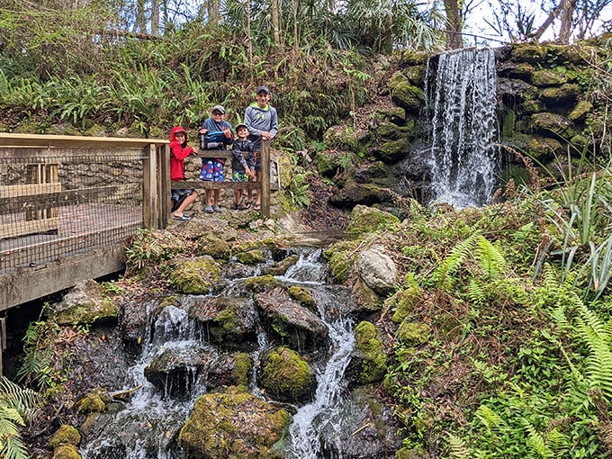 Families discovering that nature's waterpark beats any chlorinated concrete pool hands down.