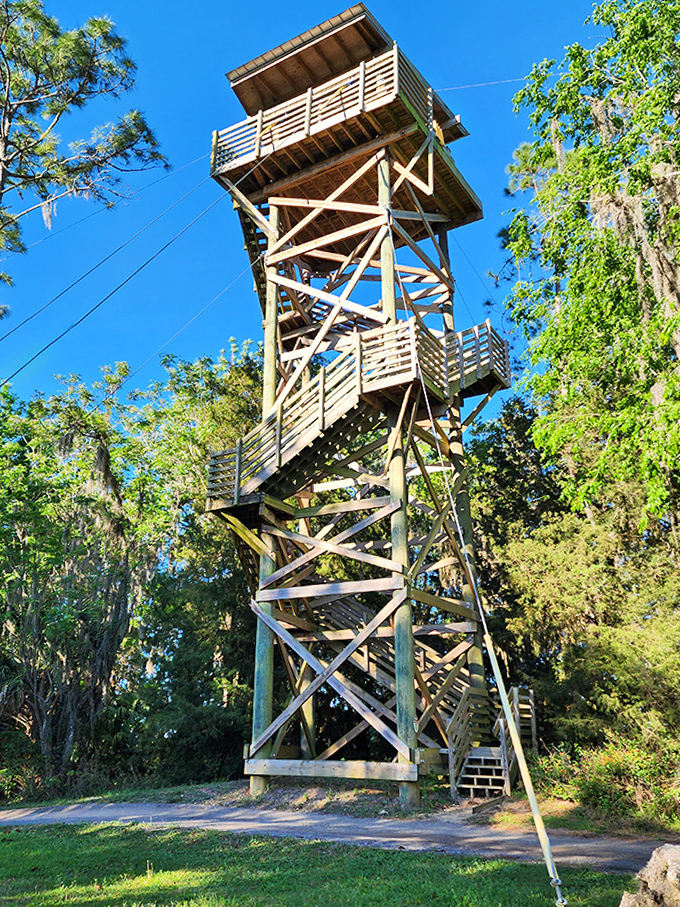 For those who prefer their views without velocity, this tower offers panoramic vistas without the adrenaline rush.
