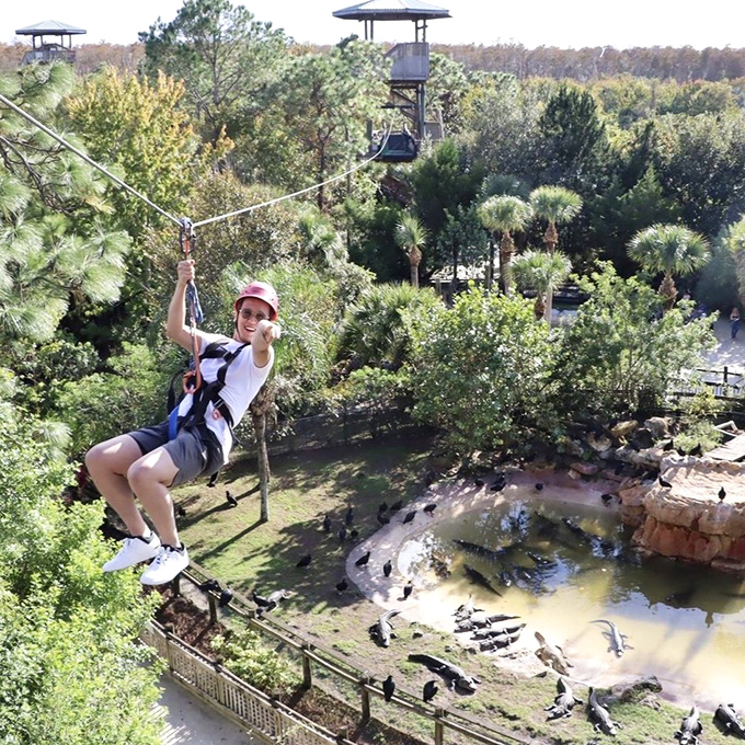 Talk about an unconventional commute! This zipline offers the ultimate thrill &ndash; gliding above dozens of prehistoric predators with nothing but air between you.