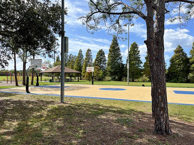 Court-side appeal: Basketball meets nature at Sheffield Park's courts, where sea breezes cool competitive spirits and palm trees serve as unlikely spectators.