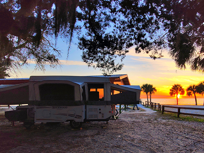 As daylight fades, the campground transforms into front-row seating for nature's greatest show – no tickets or reservations required.