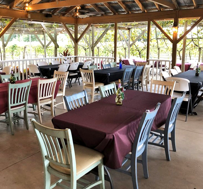 The covered dining area offers vineyard views that make even a simple Tuesday lunch feel like you've somehow teleported to Tuscany without the jet lag.