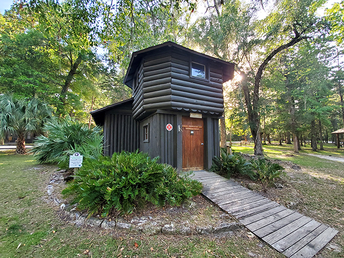 This charming historical center houses artifacts that tell the story of O'Leno's fascinating transition from frontier town to natural sanctuary.