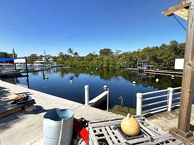 The serene lagoon conceals the underwater wonder beneath its surface, a hidden world accessible only to those willing to dive.