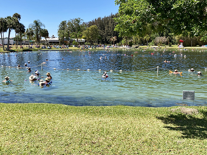 The springs transform into a community gathering spot, where health-seekers of all ages enjoy mineral-rich waters.