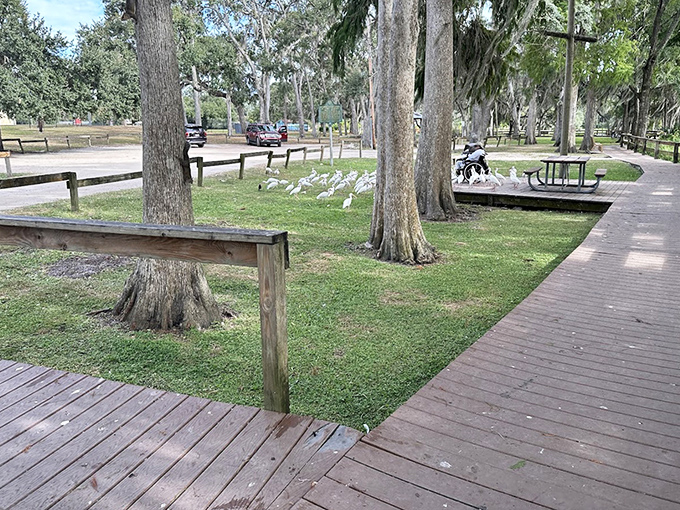 Wooden walkways invite exploration without disturbing the delicate ecosystem, their weathered boards telling stories of countless appreciative footsteps.
