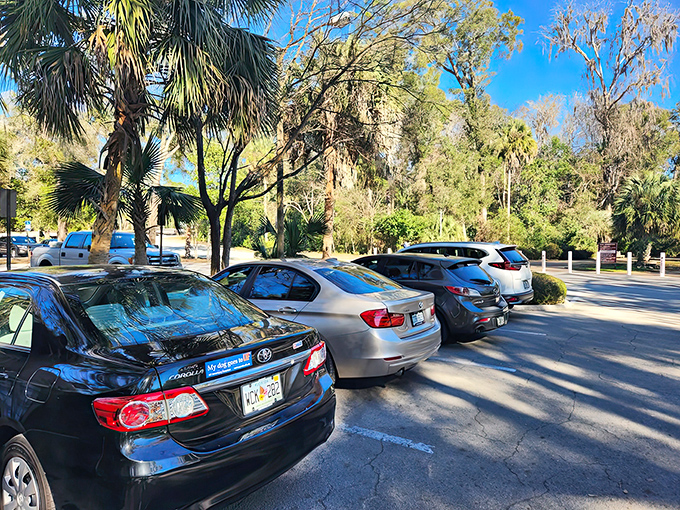 Even the mundane becomes magical when surrounded by towering pines and the promise of crystal springs just steps away.