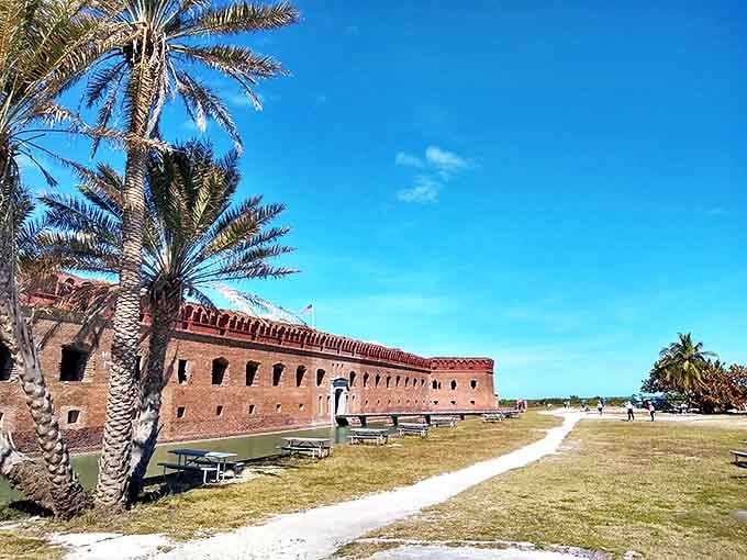 These simple benches beneath ancient trees offer shaded respite from the tropical sun, perfect for contemplating both history and natural beauty.