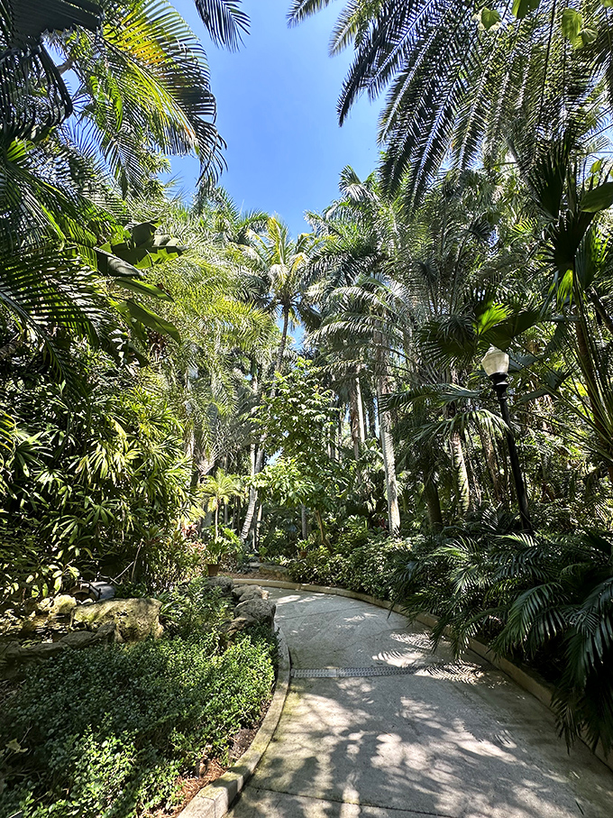 Sunlight filters through a canopy of palms, creating a natural cathedral where even the most dedicated atheist might feel spiritual.