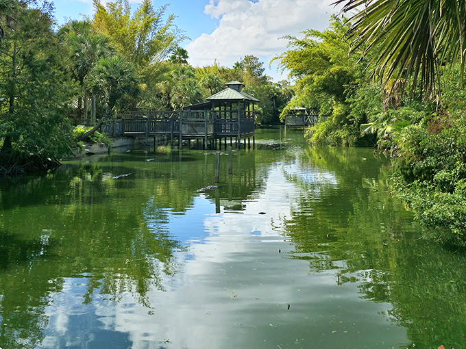 Reflections dance on this tranquil waterway, where wooden observation platforms offer peaceful vantage points to absorb nature's splendor.