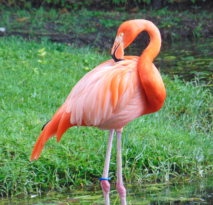 "Excuse me, do you have a moment to talk about our lord and savior, Proper Posture?"