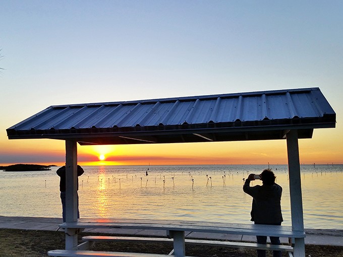 Florida sunsets don't just end days &ndash; they paint the sky with colors that make even professional photographers question their filter settings.