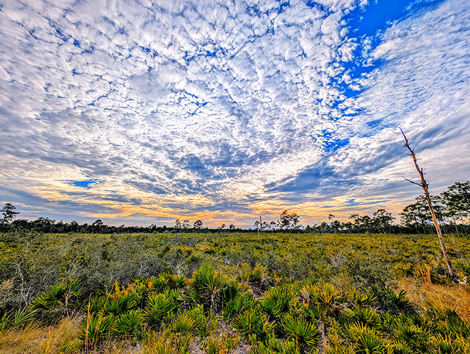 The sky puts on a spectacular show at day's end, painting clouds in golden hues above a landscape unchanged for millennia.