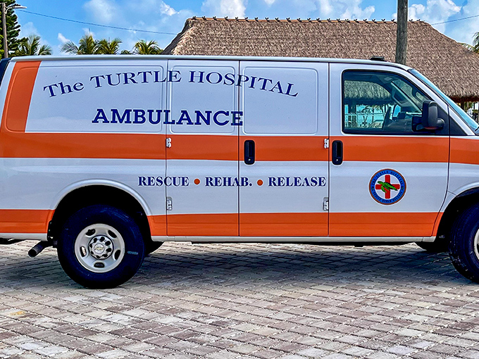The turtle ambulance stands ready for the next rescue call, a modified van that's transported countless injured patients to their second chance at life.