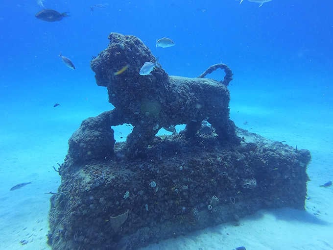 This sea-weathered sculpture has become a condominium complex for fish, proving that the afterlife can include interesting neighbors.