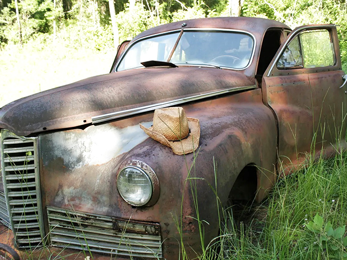 This vintage sedan still maintains its dignified profile despite the rust, broken windows, and decades of Florida weather taking their toll on its body.