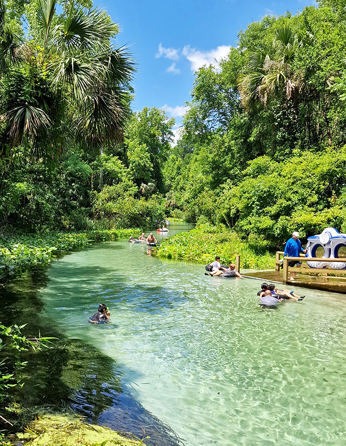 Nothing beats a refreshing float down the clear, natural stream! That pristine water and canopy of green are the definition of pure bliss.