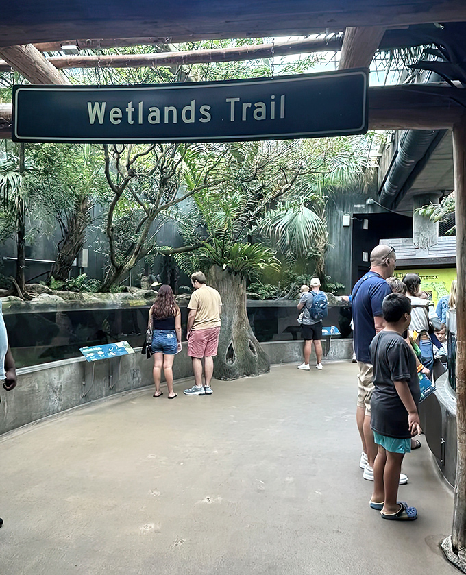 The Wetlands Trail brings Florida's wild backyard indoors &ndash; all the natural beauty with none of the mosquitoes or humidity!