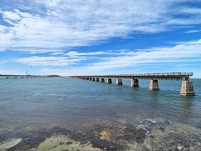 Concrete pillars march across the water, supporting a bridge that changed Florida's history and now offers one of its most scenic experiences.