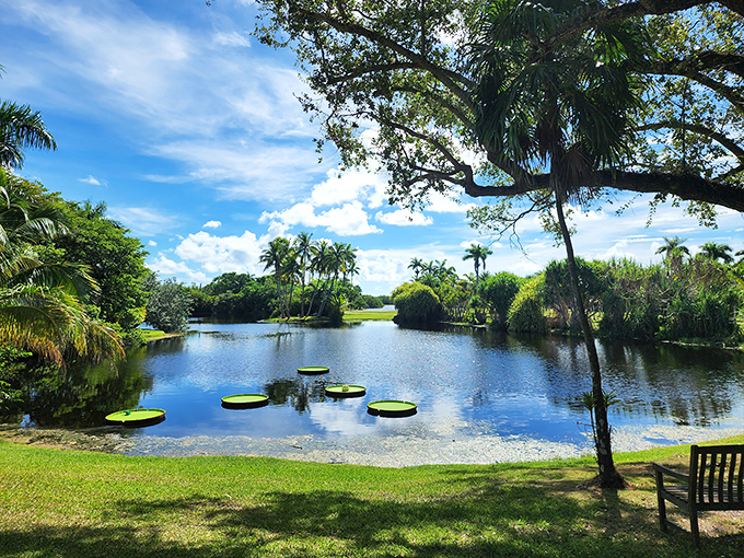 Reflective pond mirrors the perfect Florida sky at Florida Botanical Gardens, creating a double dose of beauty.