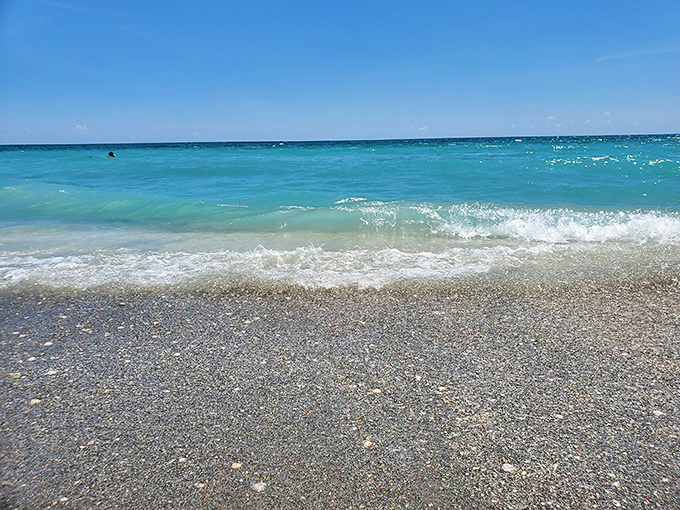 Fifty shades of blue! Jupiter's waters reveal potential treasures—nature's display case for shell enthusiasts.