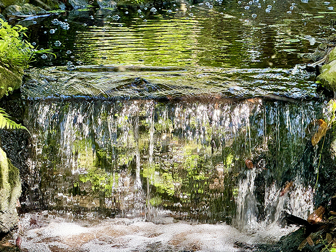 Naples Botanical Garden's waterfall brings Brazilian flair to Southwest Florida. The modern design celebrates water's importance in tropical ecosystems.