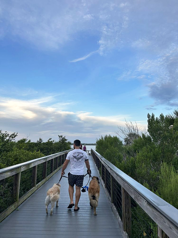 A person and their two loyal companions heading down the boardwalk at Smyrna Dunes Park, adventure awaiting at the end of the path.