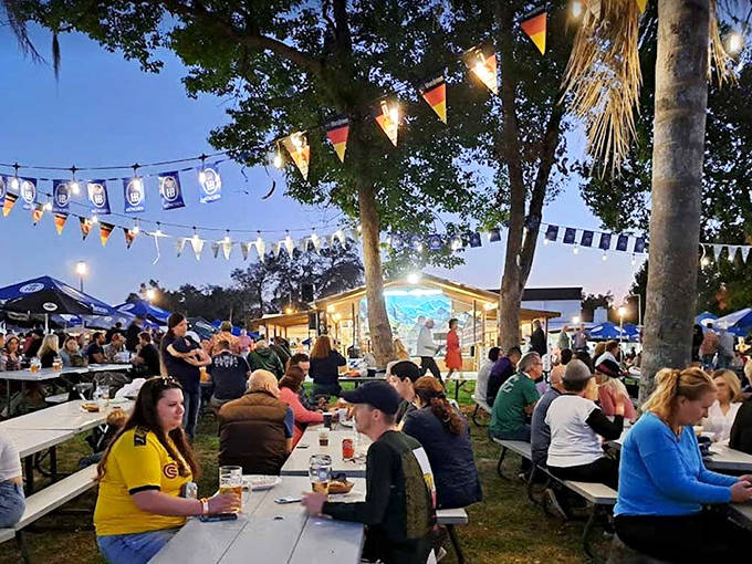 Festival-goers enjoy the outdoor setting of Springtoberfest, where picnic tables fill with friends sharing craft beers and German treats.