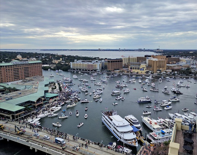 Ships ahoy! The harbor comes alive during Gasparilla, when Tampa embraces its inner buccaneer for a festival that would make Blackbeard proud.