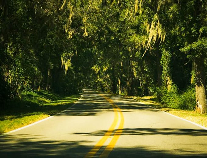 This green tunnel stretches on like nature's own highway to heaven &ndash; minus the traffic jams and road rage.