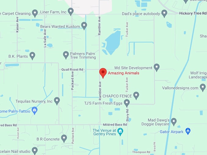 Amazing Animals Inc 10 map