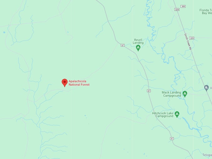 apalachicola national forest oak garden 10 map