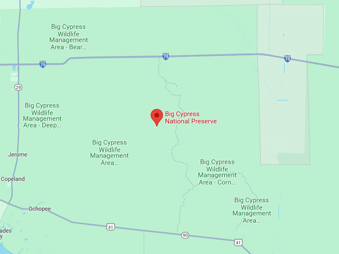 big cypress national preserve 10 map