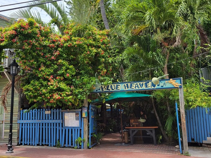 blue heaven cafe 1
