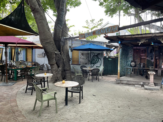 blue heaven cafe 3