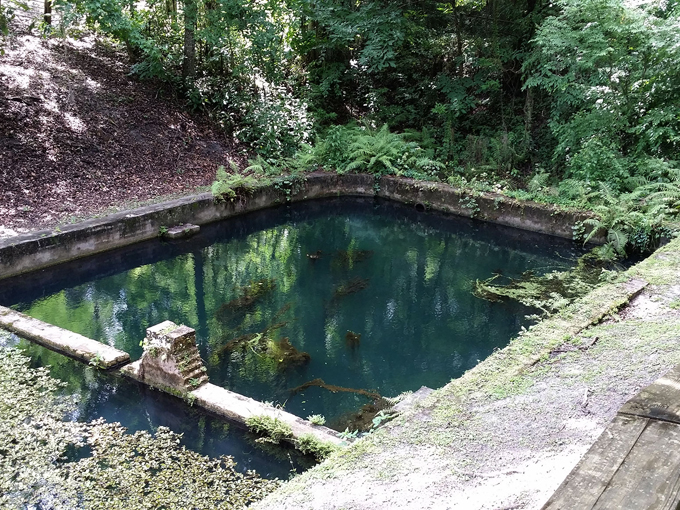 boulware springs park 3