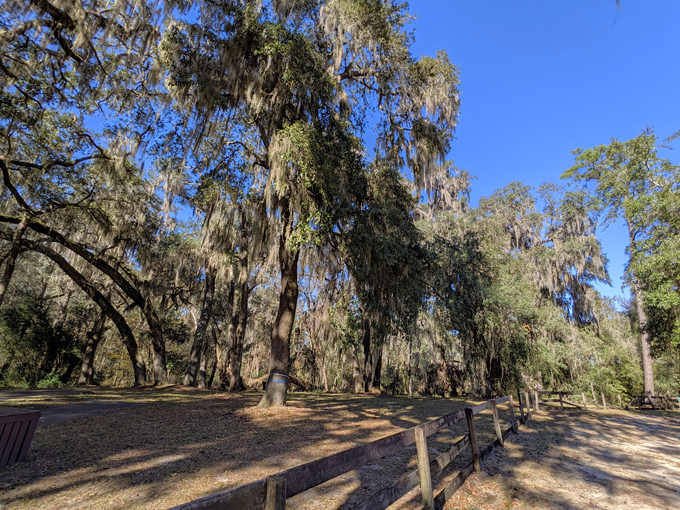 boulware springs park 4
