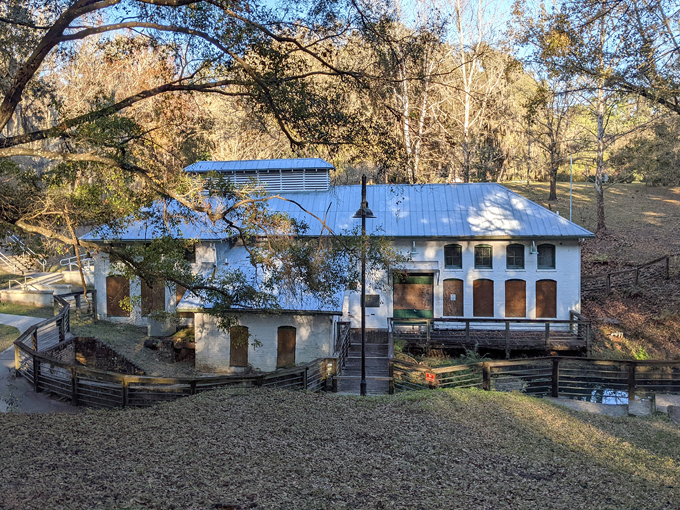 boulware springs park 6