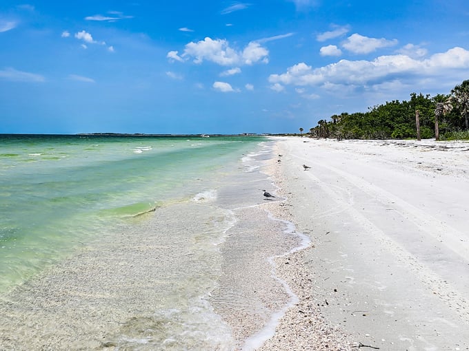 caladesi island state park
