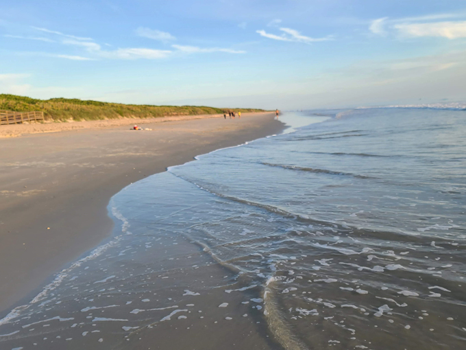 canaveral national seashore