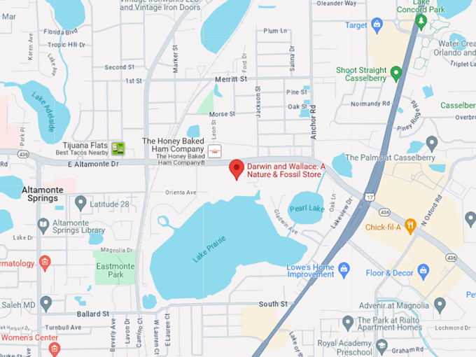 Darwin and Wallace: A Nature & Fossil Store 10 map