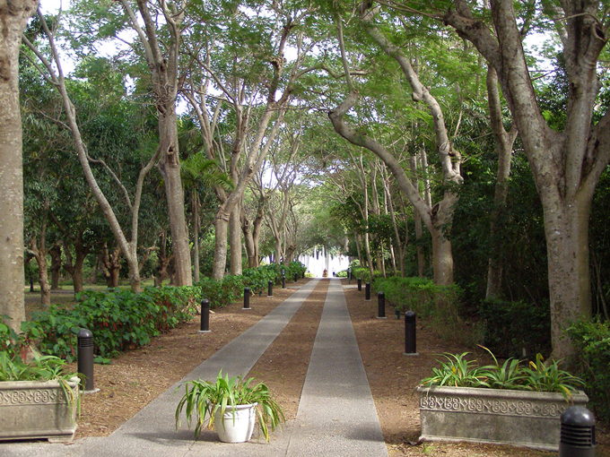 deering estate 7