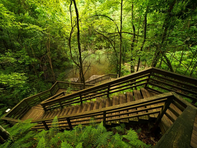 devils millhopper geological state park gainesville