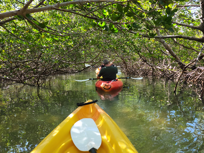 don pedro island state park 1