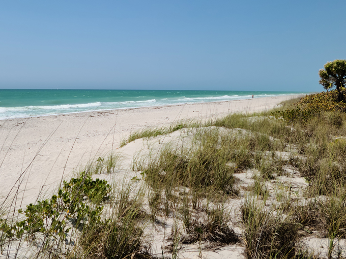 don pedro island state park 1