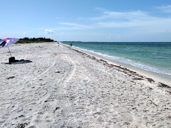 don pedro island state park 2