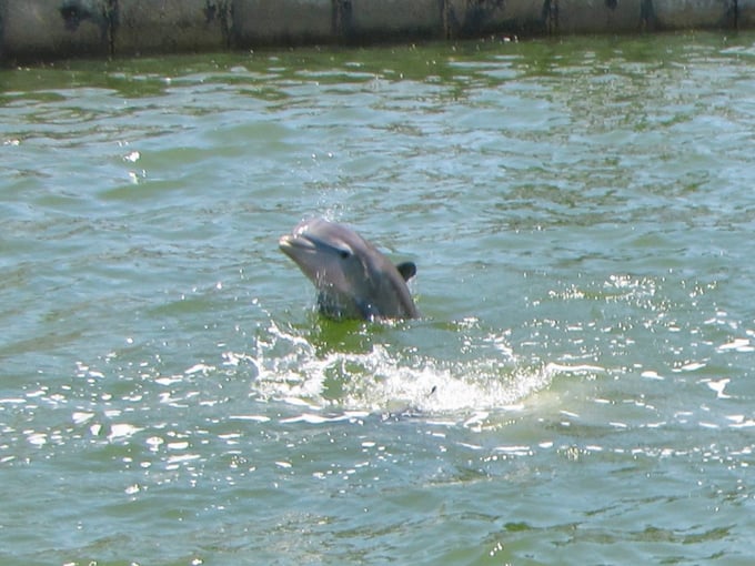 don pedro island state park 3