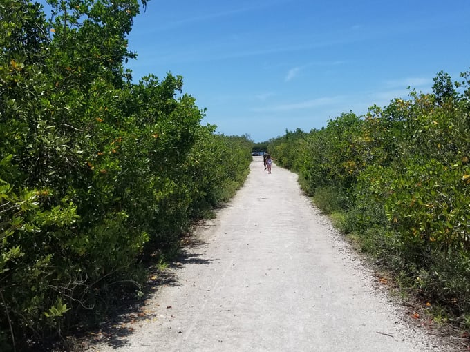 don pedro island state park 4