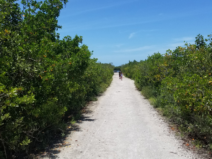 don pedro island state park 8